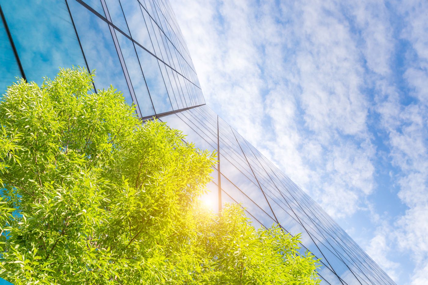 Thriving In Change: Navigating Sustainability in Asset Management