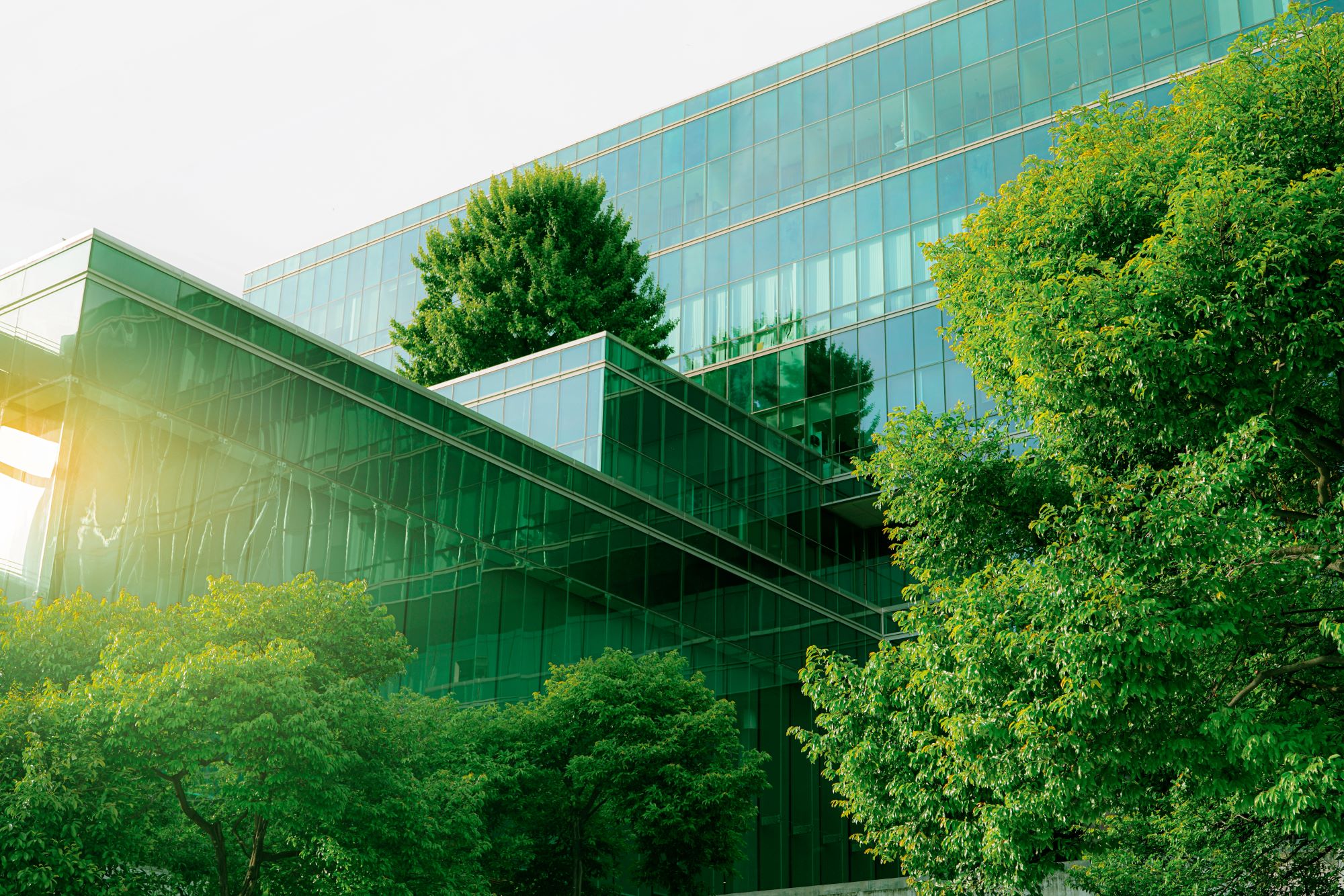 Carbon Accounting Management Platform Benchmark 2024-2025