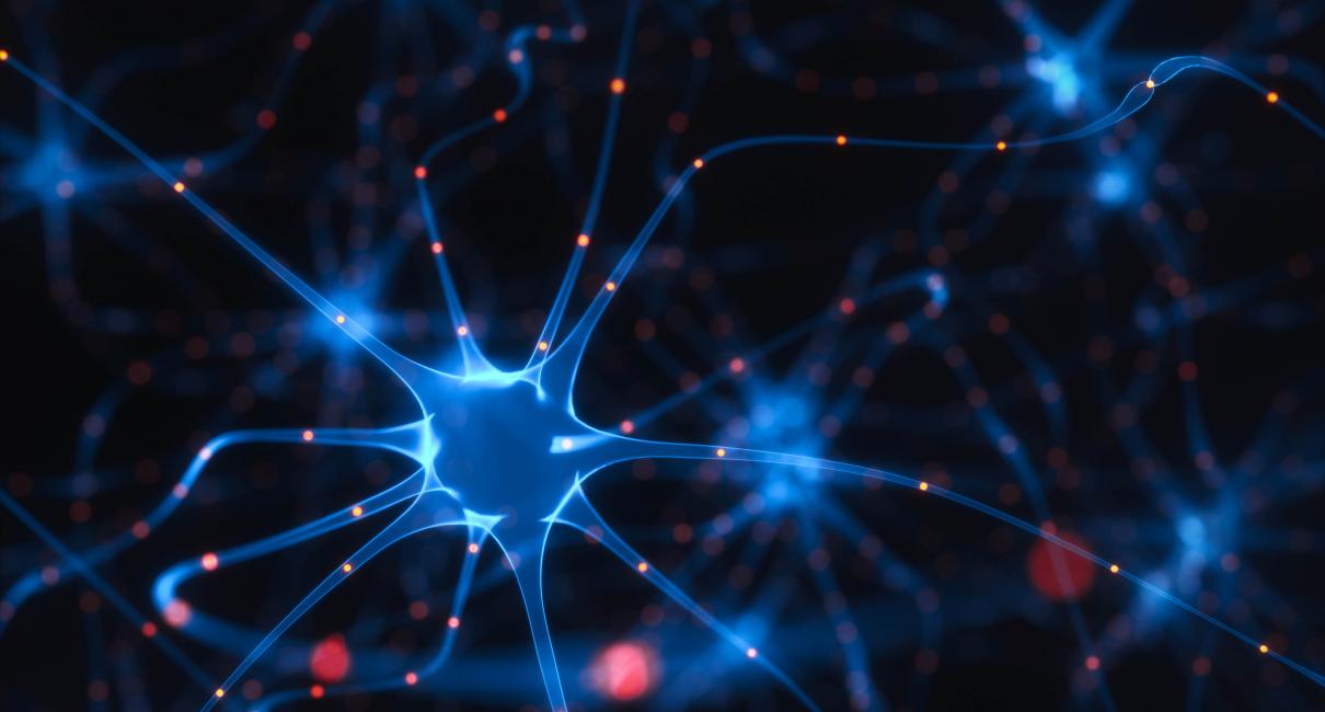 Sia Partners - Global Management Consulting Firm